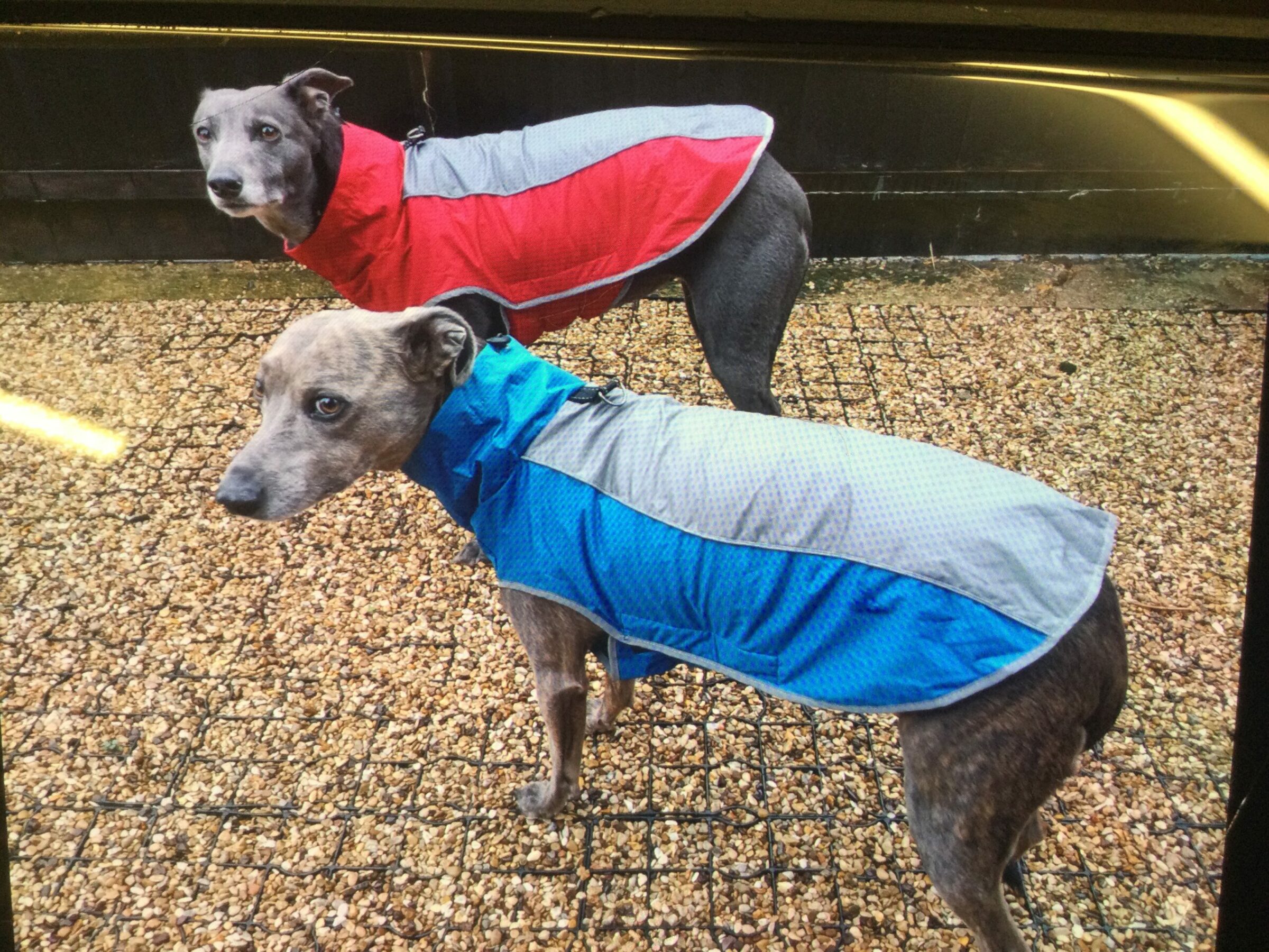 New Coats The West Grantham Church Of England Secondary Academy